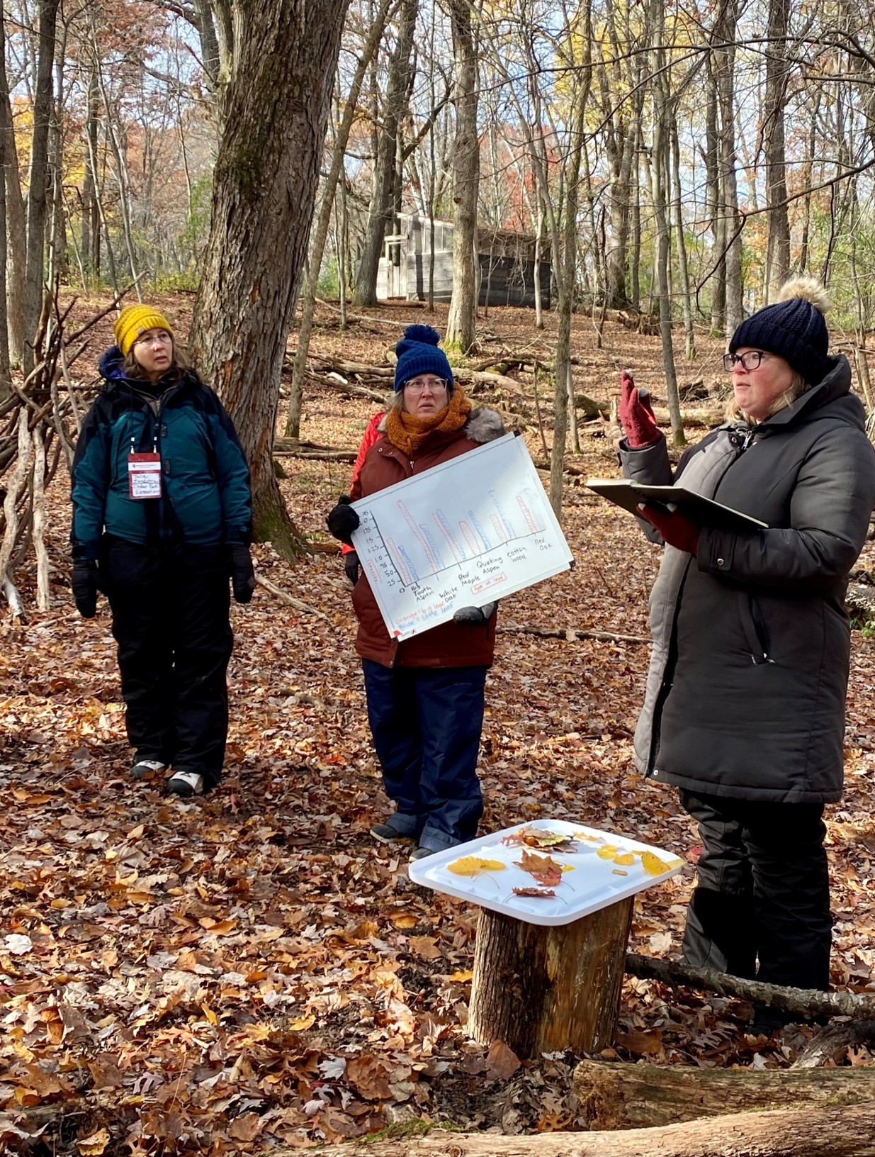 Bridging the gap: Freshwater helps Minnesota teachers embrace nature ...